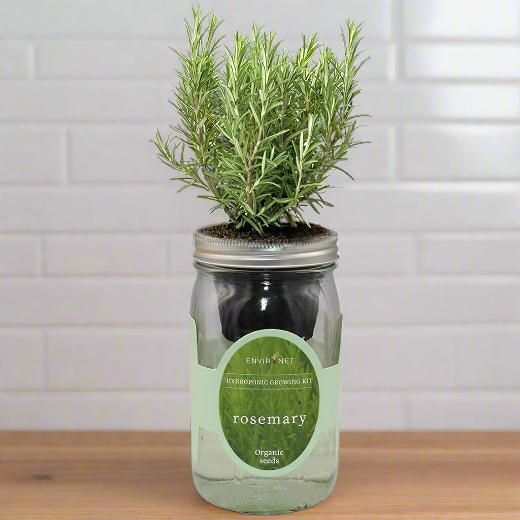 Rosemary Hydroponic Kit – Enviro Garden