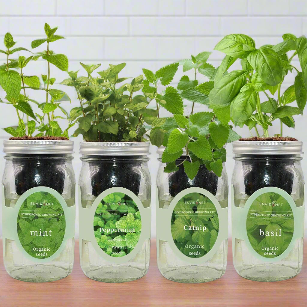 Hydroponic Herb Bundle (Catnip, Peppermint, Mint & Basil) – Enviro Garden