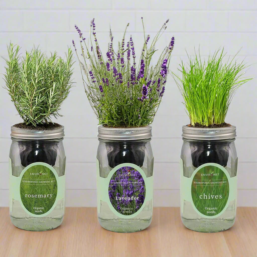 Hydroponic Herb Kit Trio (Lavender, Rosemary & Chives) – Enviro Garden